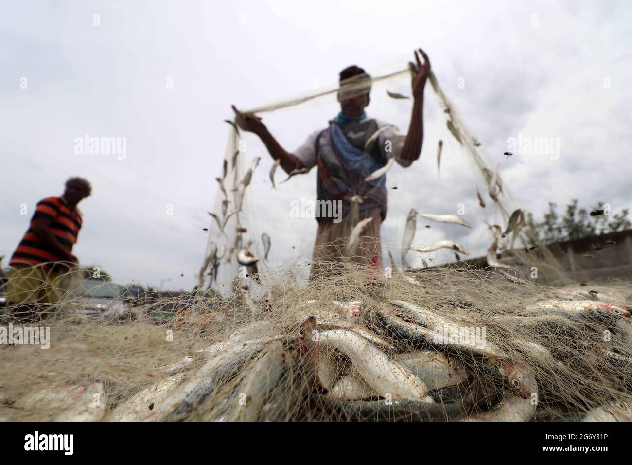 India tamil nadu chennai fish hi-res stock photography and images - Alamy