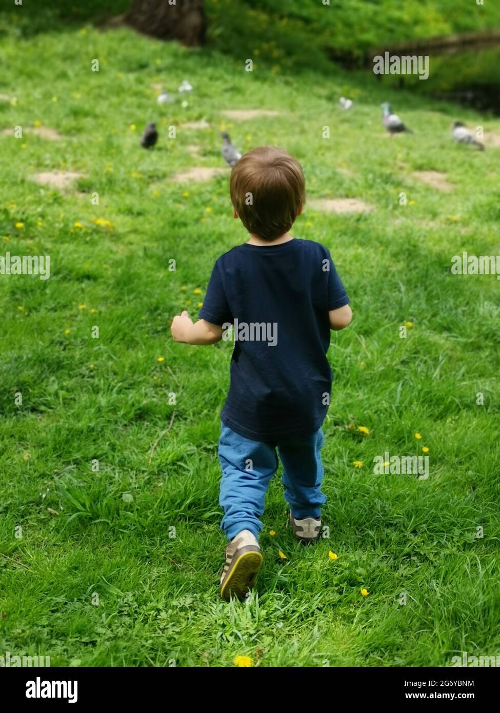 Vertical back view of a male child walking on a meadow Stock Photo - Alamy