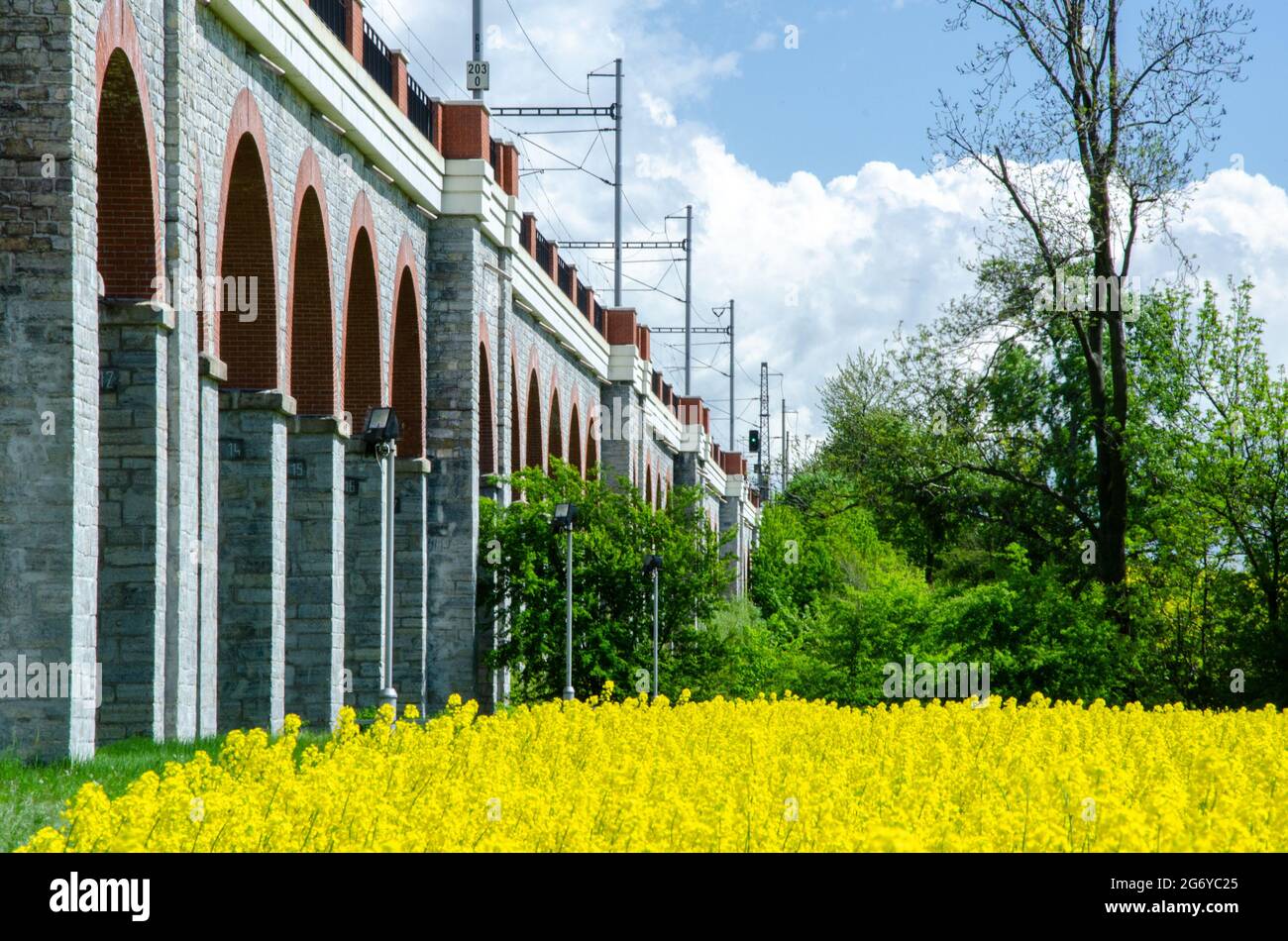 Beautiful scene of viaduct type of bridge surrounded by green fields ...