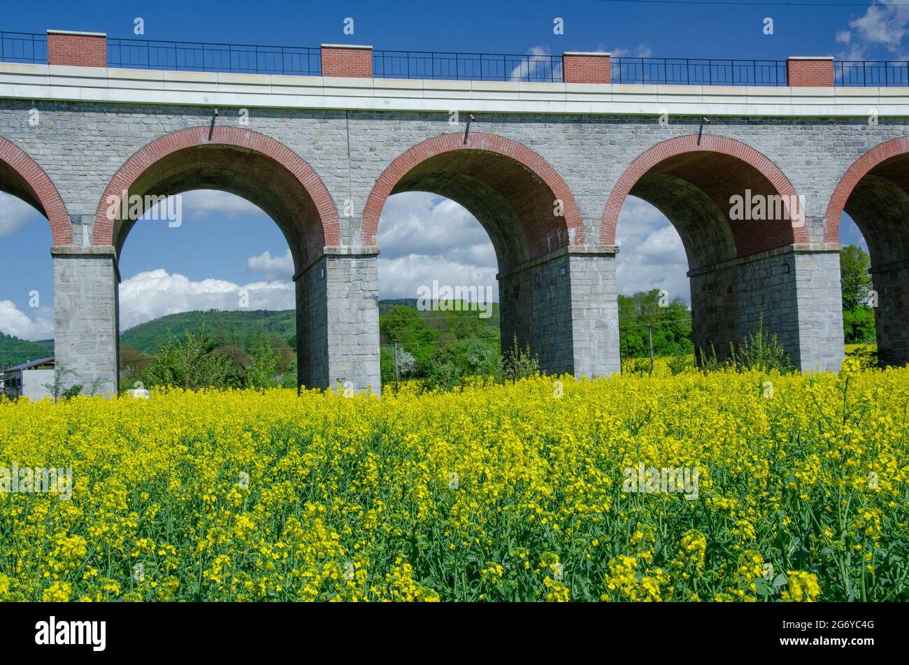 Beautiful scene of viaduct type of bridge surrounded by green fields ...
