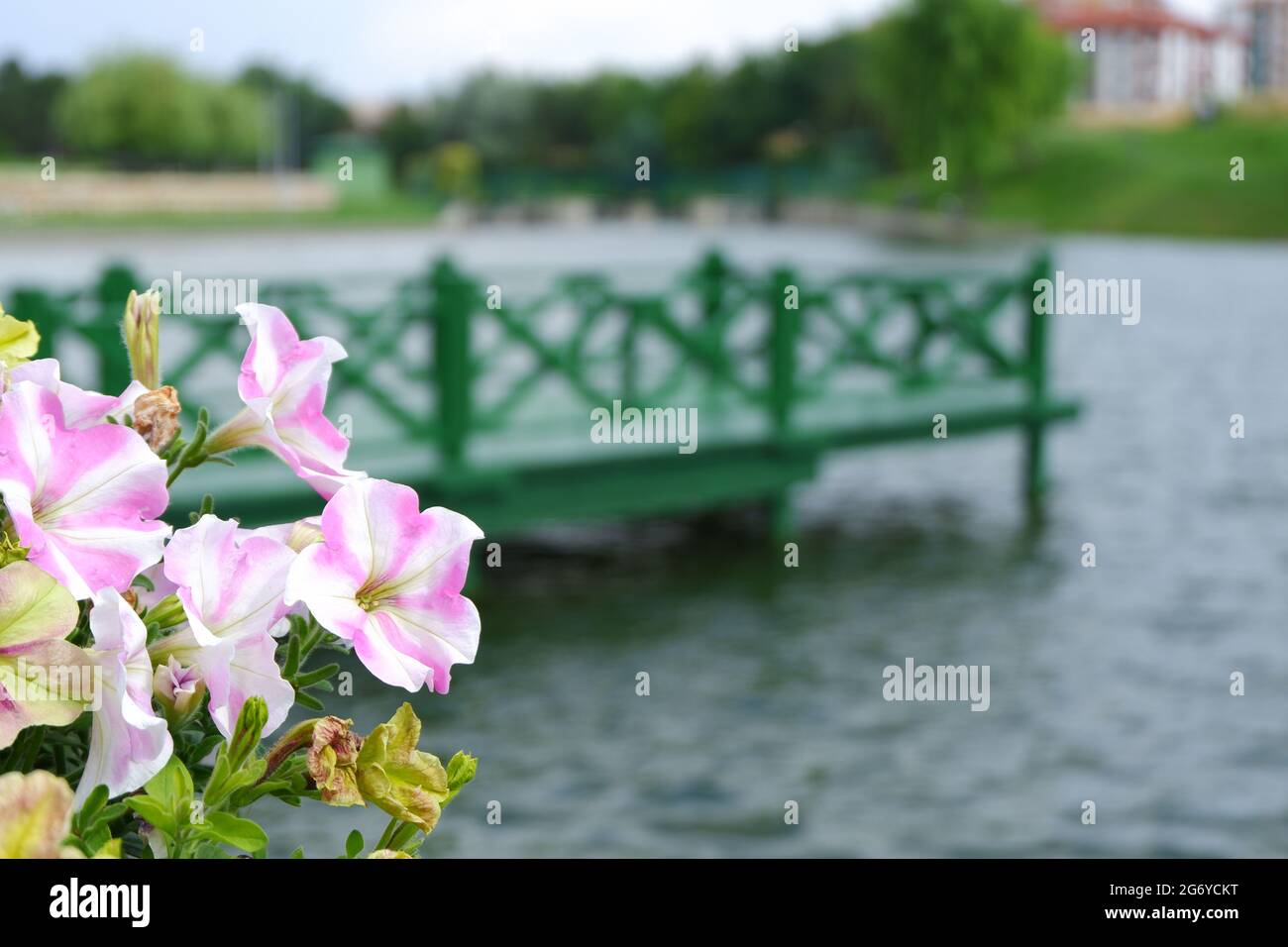 Waterside flowers hi-res stock photography and images - Alamy