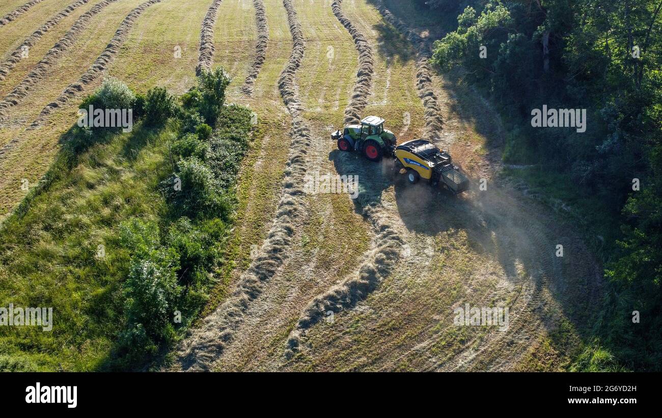 A tractor with a harvester during a summer harvest for cattle feed ...
