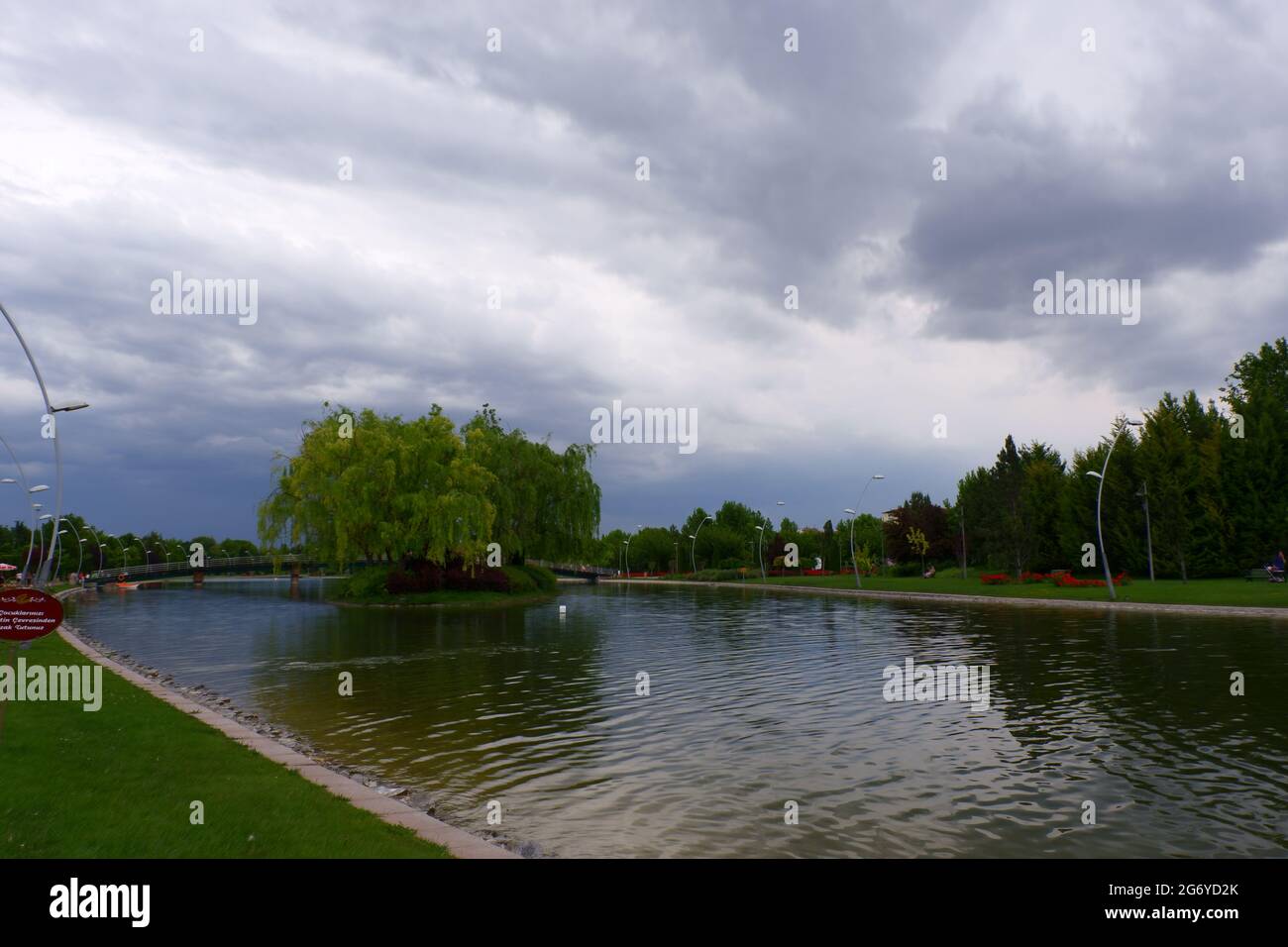 Large willow tree hi-res stock photography and images - Alamy