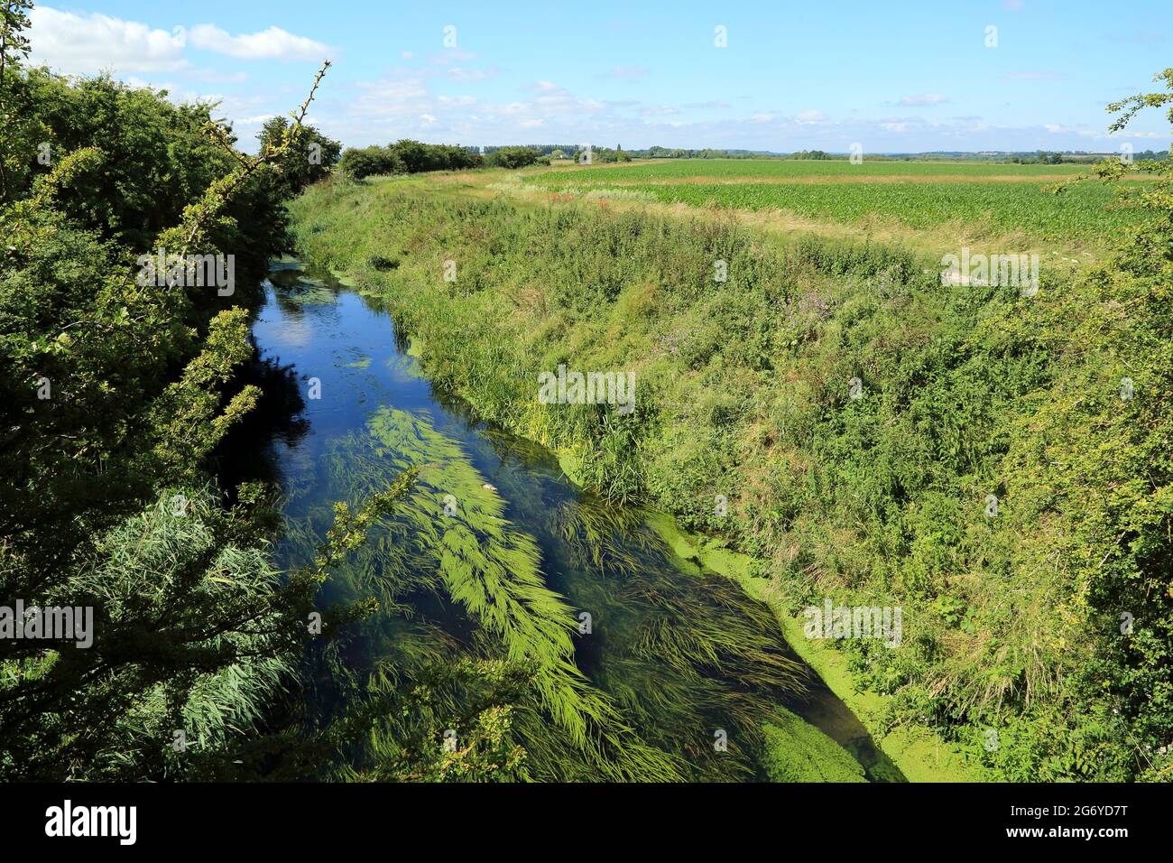 Drainage channel on marshland near Stourmouth, Canterbury, Kent ...