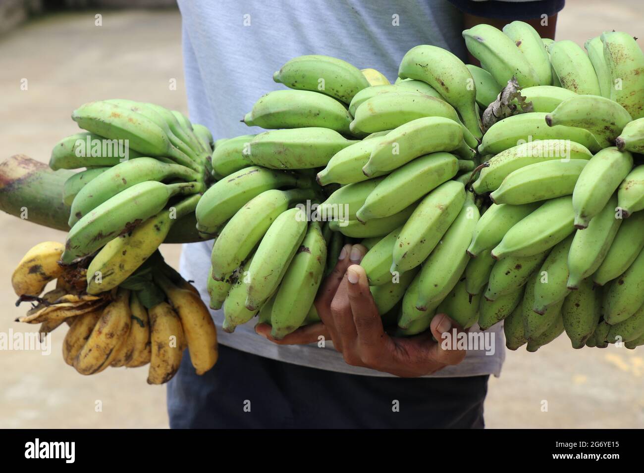 Bundle of bananas hi-res stock photography and images - Alamy