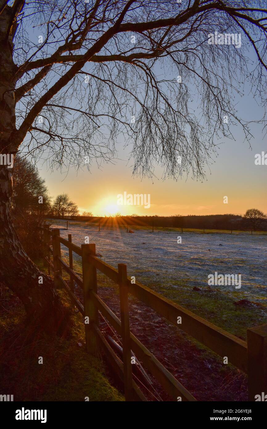 Bestwood country park hi-res stock photography and images - Alamy