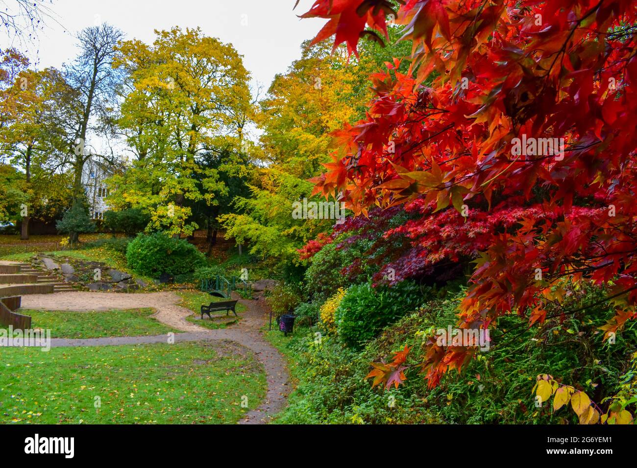 Some bright and beautiful autumn colours on show in Woodthorpe Park ...