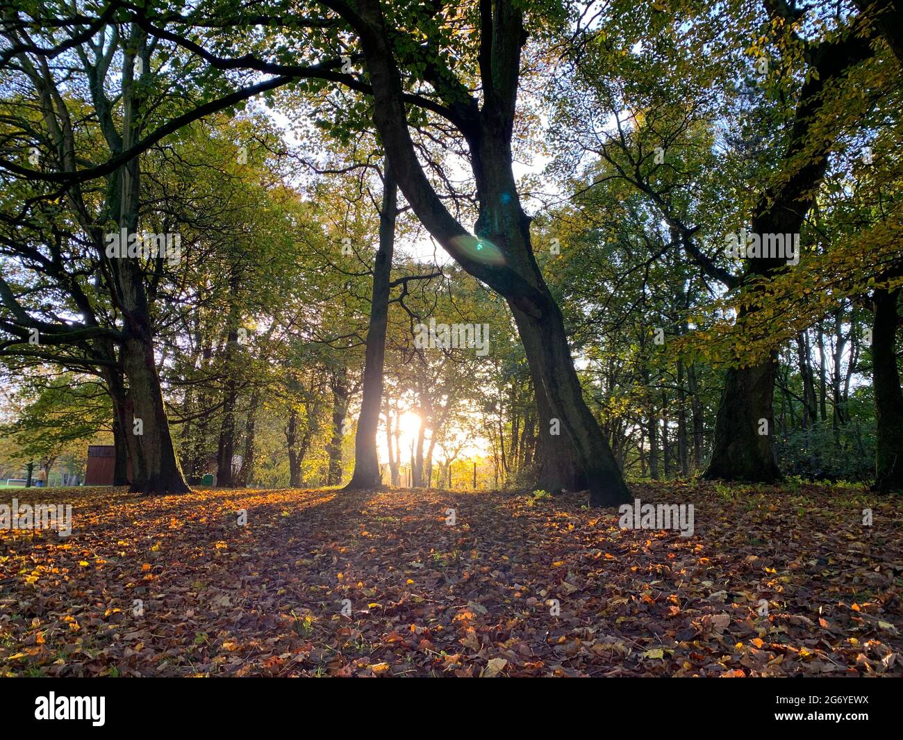 Woodthorpe, nottingham hi-res stock photography and images - Alamy