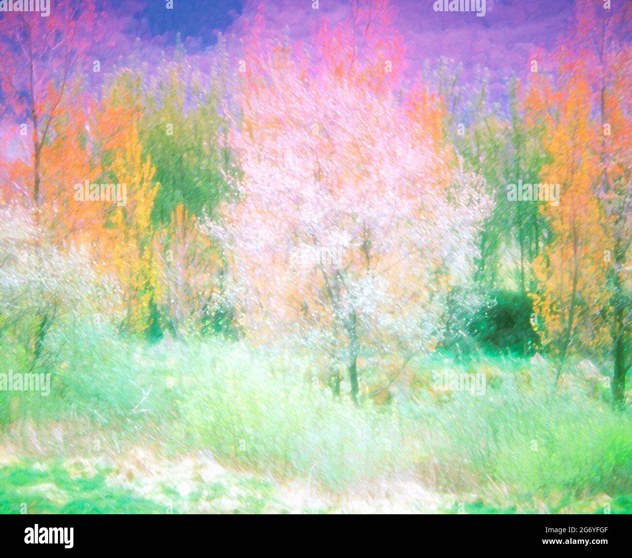 wispy, spring trees, arty Stock Photo - Alamy