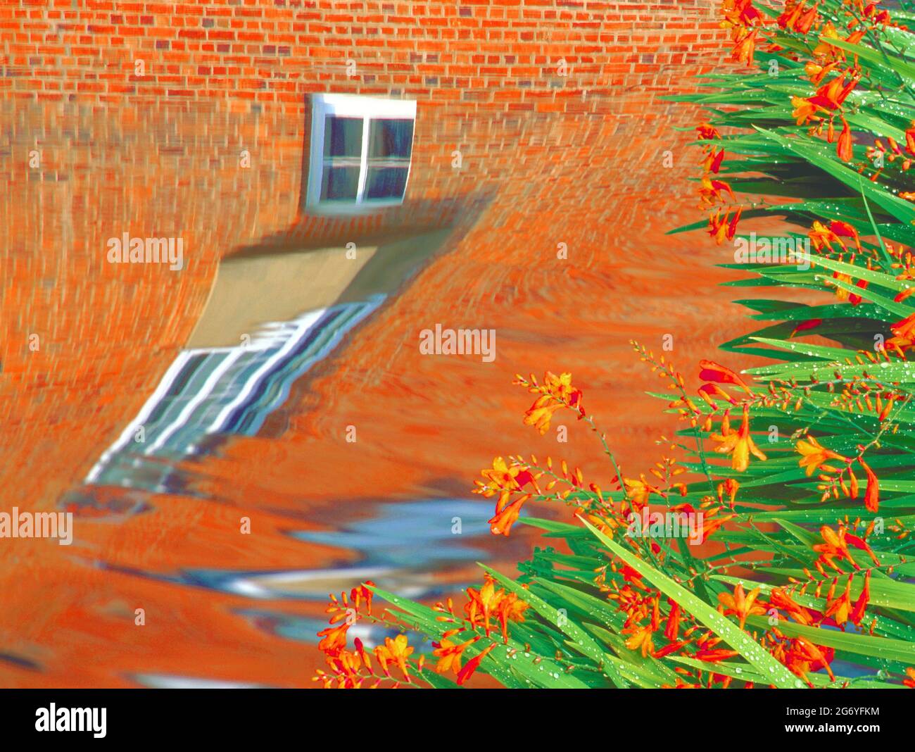 Water mill, reflection, flowing river, with crocosmia Stock Photo - Alamy