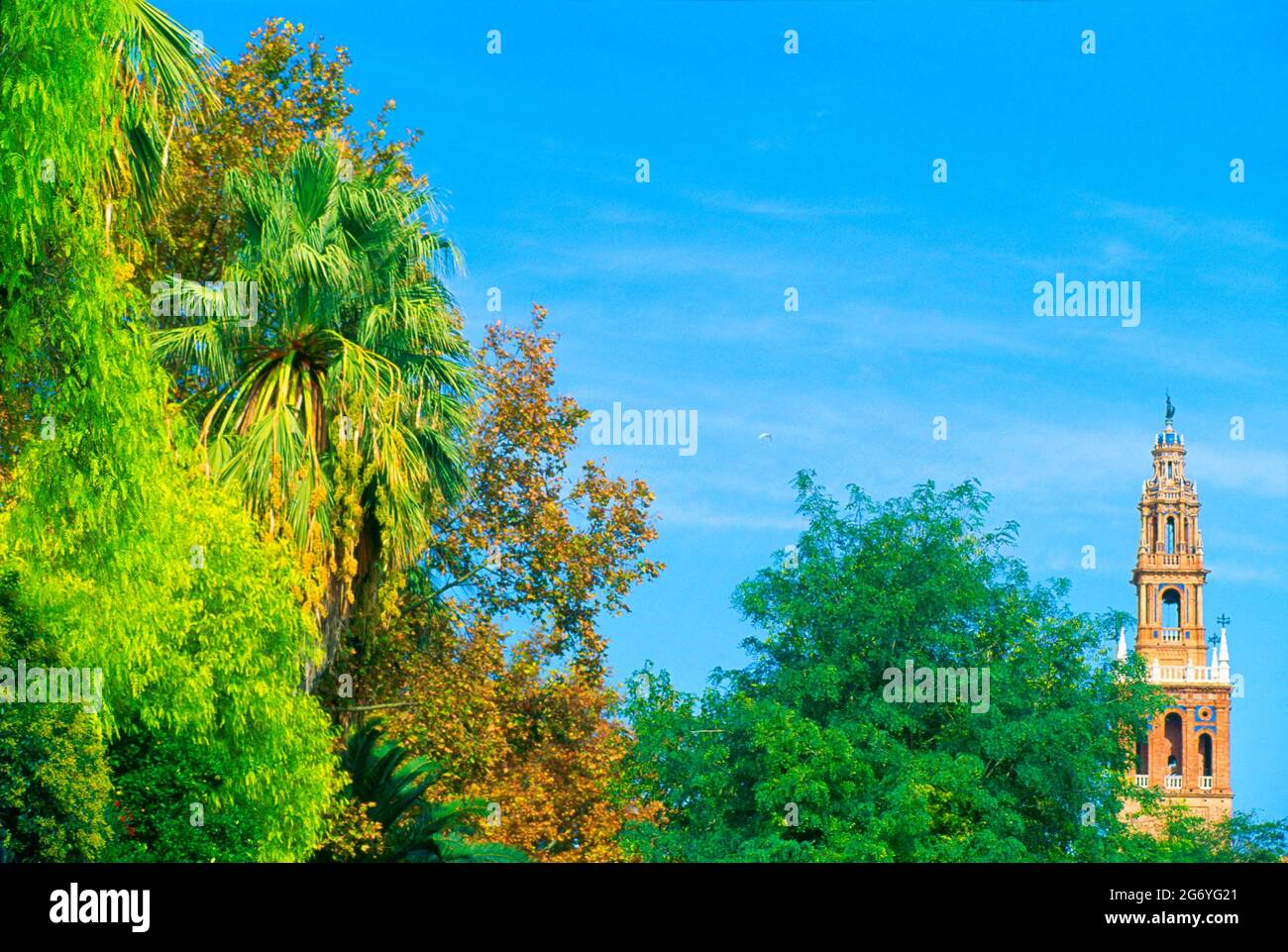 Church tower palm trees hi-res stock photography and images - Alamy