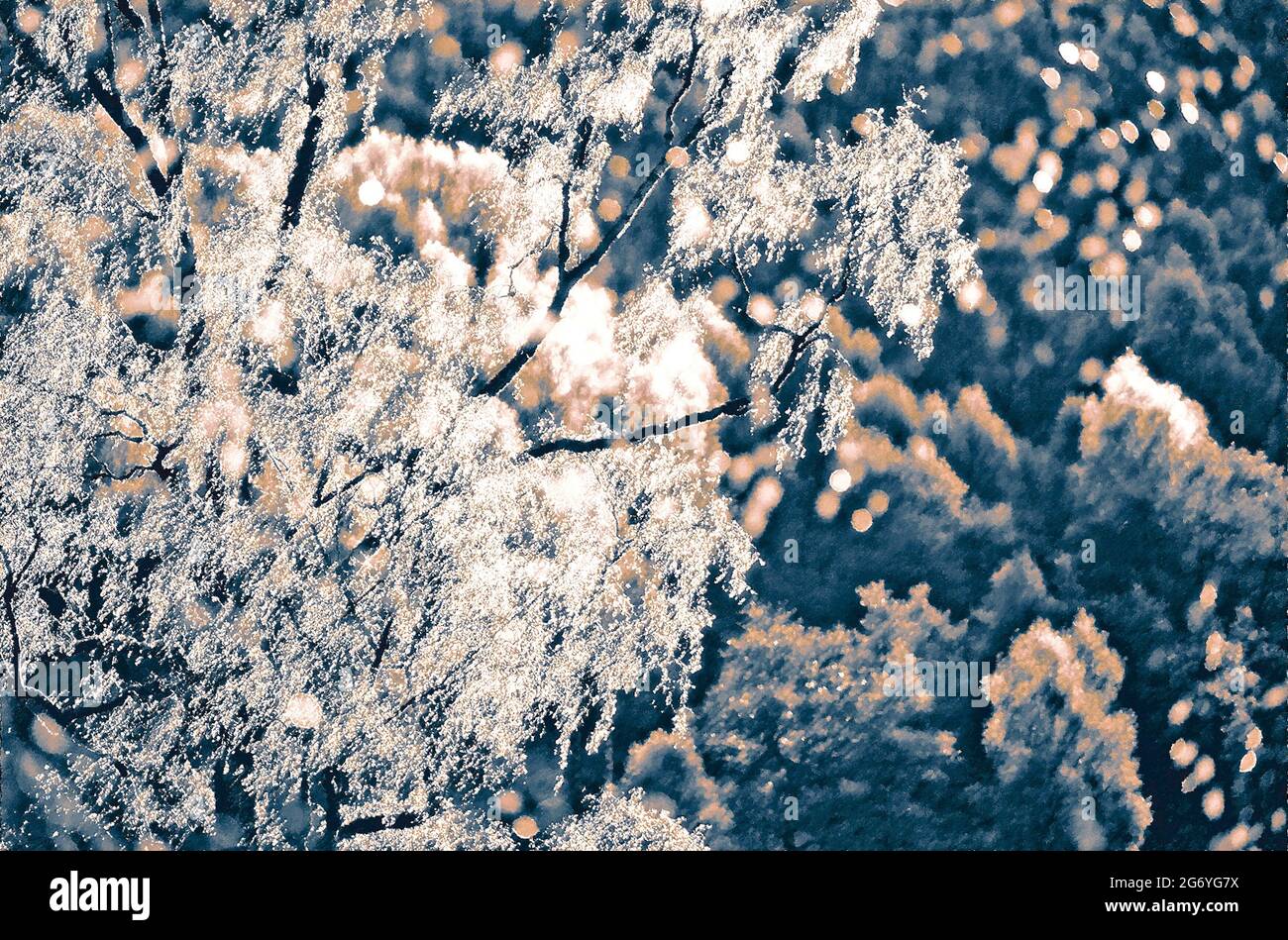 Melting frost hi-res stock photography and images - Alamy