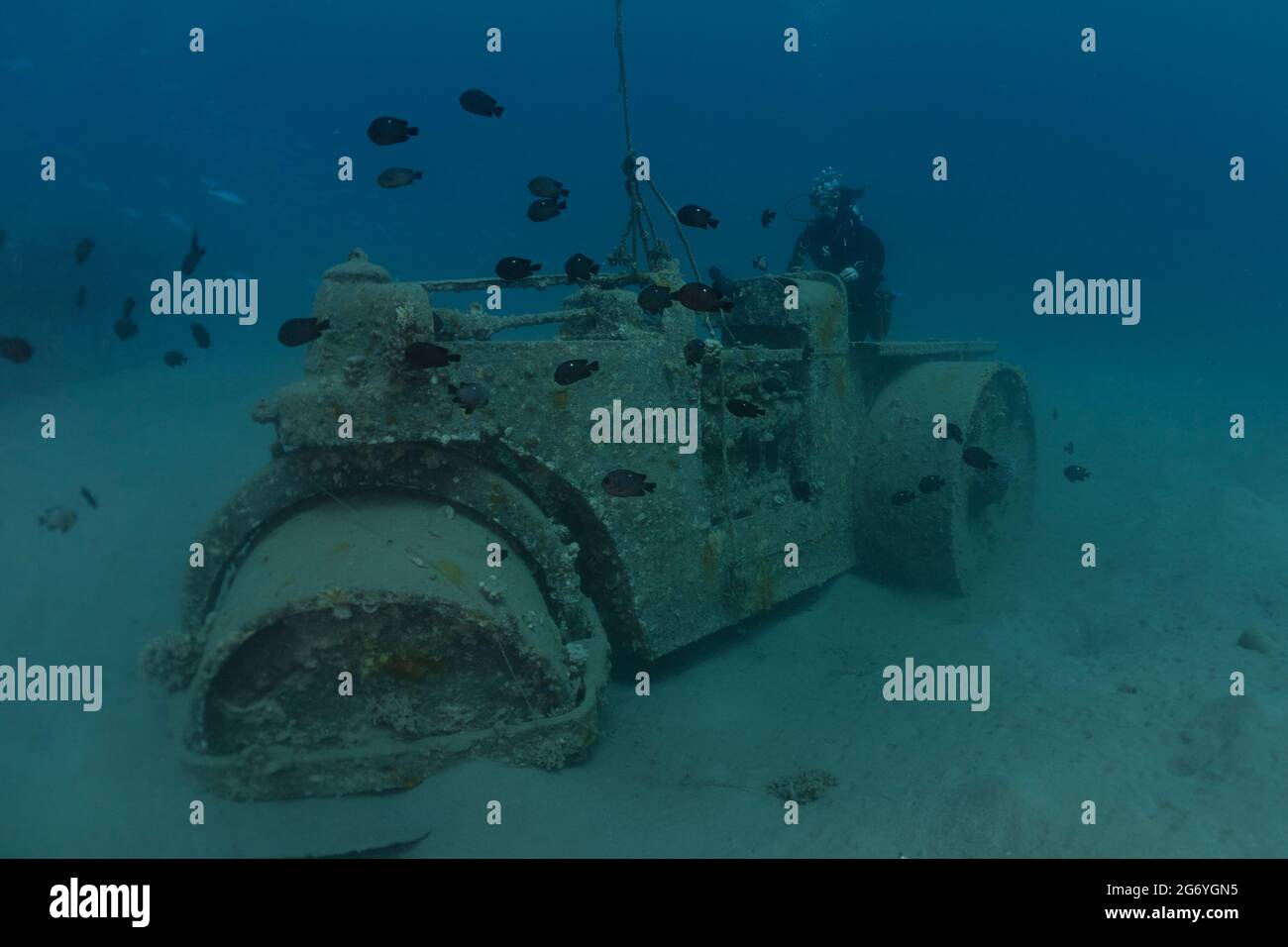 Sea pollution in metals and other garbage in the Red Sea Stock Photo ...
