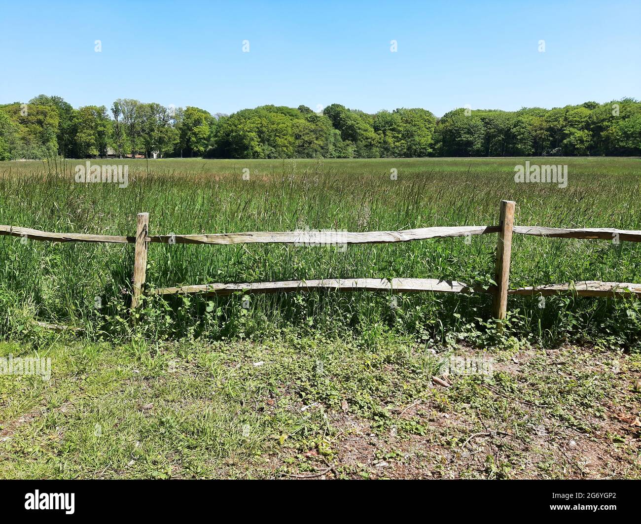 Wooden fence grass field hi-res stock photography and images - Alamy