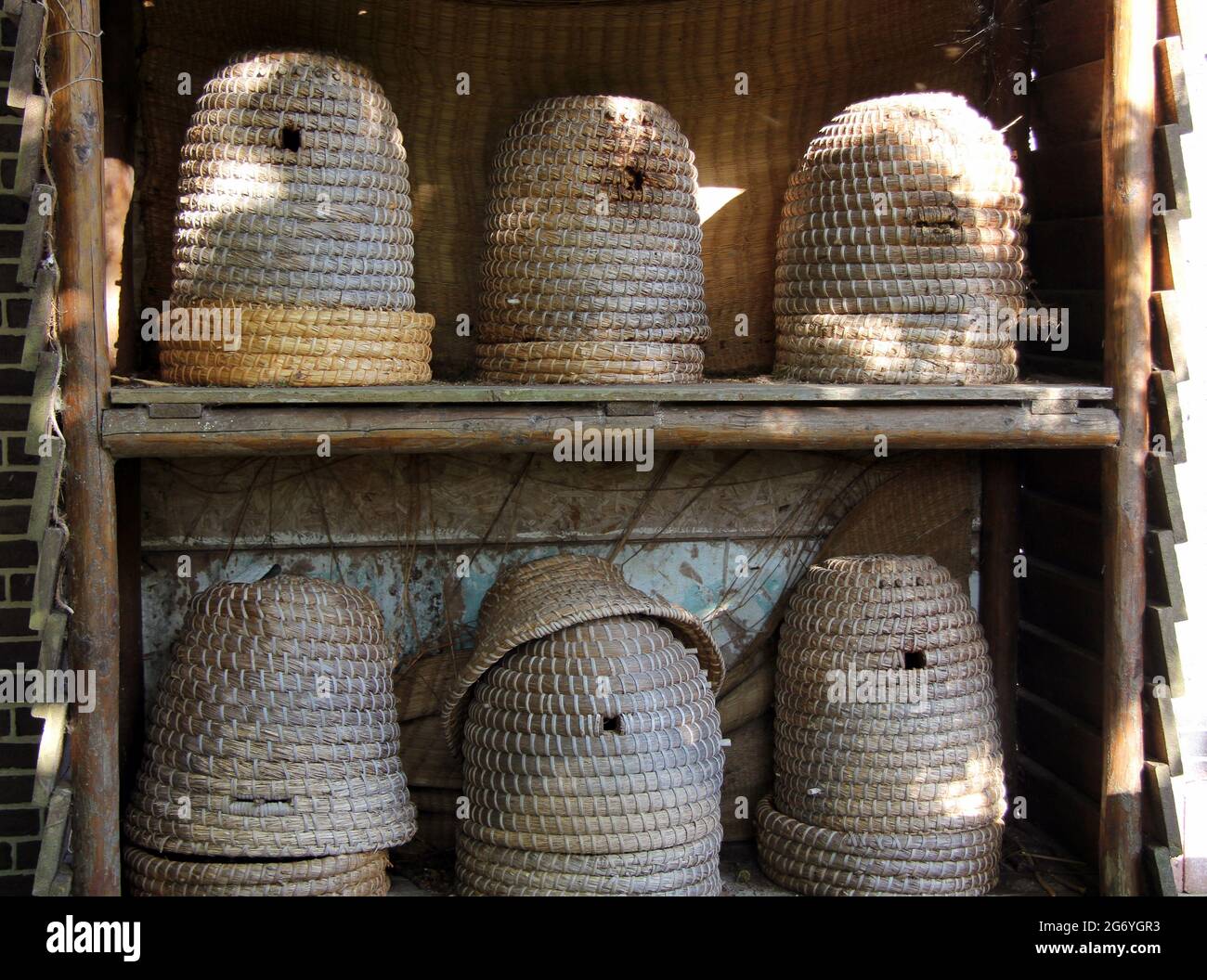 Six traditional straw beehives or skeps in a cupboard, sunlit in a ...