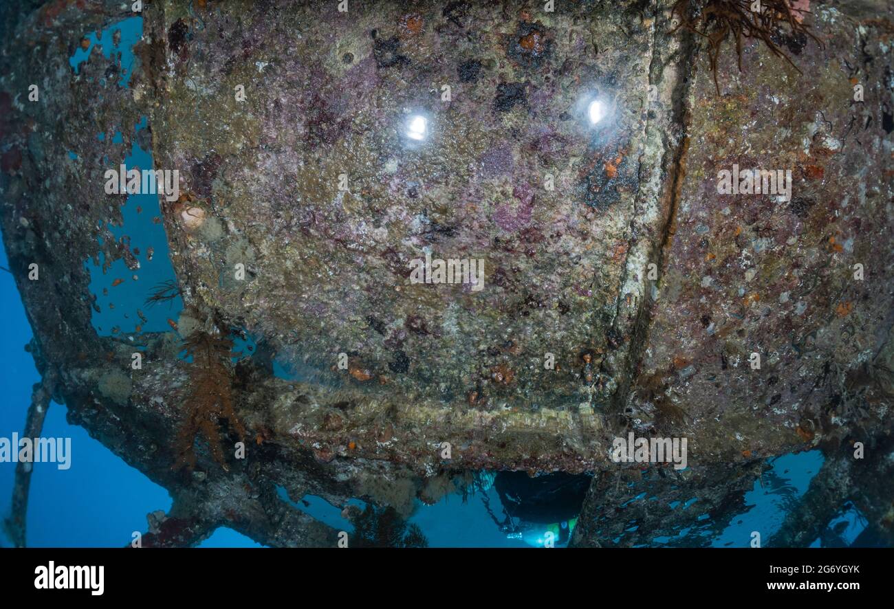 Sea pollution in metals and other garbage in the Red Sea Stock Photo ...