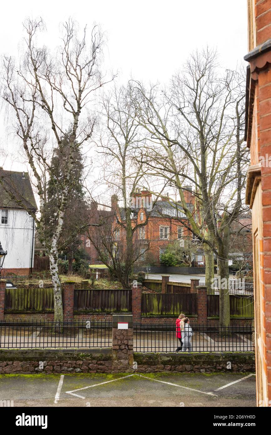 Road lined with birch trees hi-res stock photography and images - Alamy