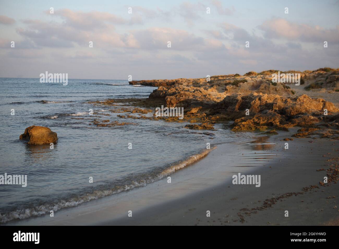 Wavelet hi-res stock photography and images - Alamy