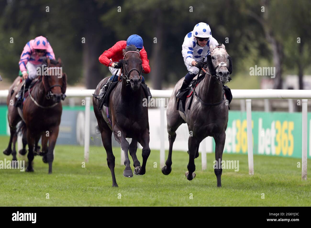 Twilight calls horse hi-res stock photography and images - Alamy