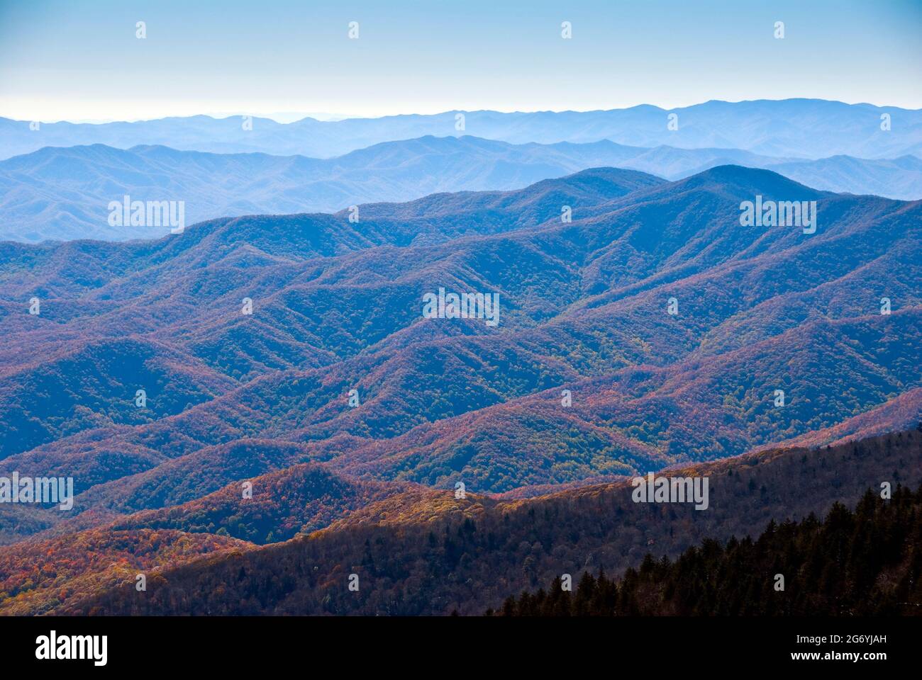 Mountain ridges, trees cloaked in fall foliage colors, Smokey Mountain ...