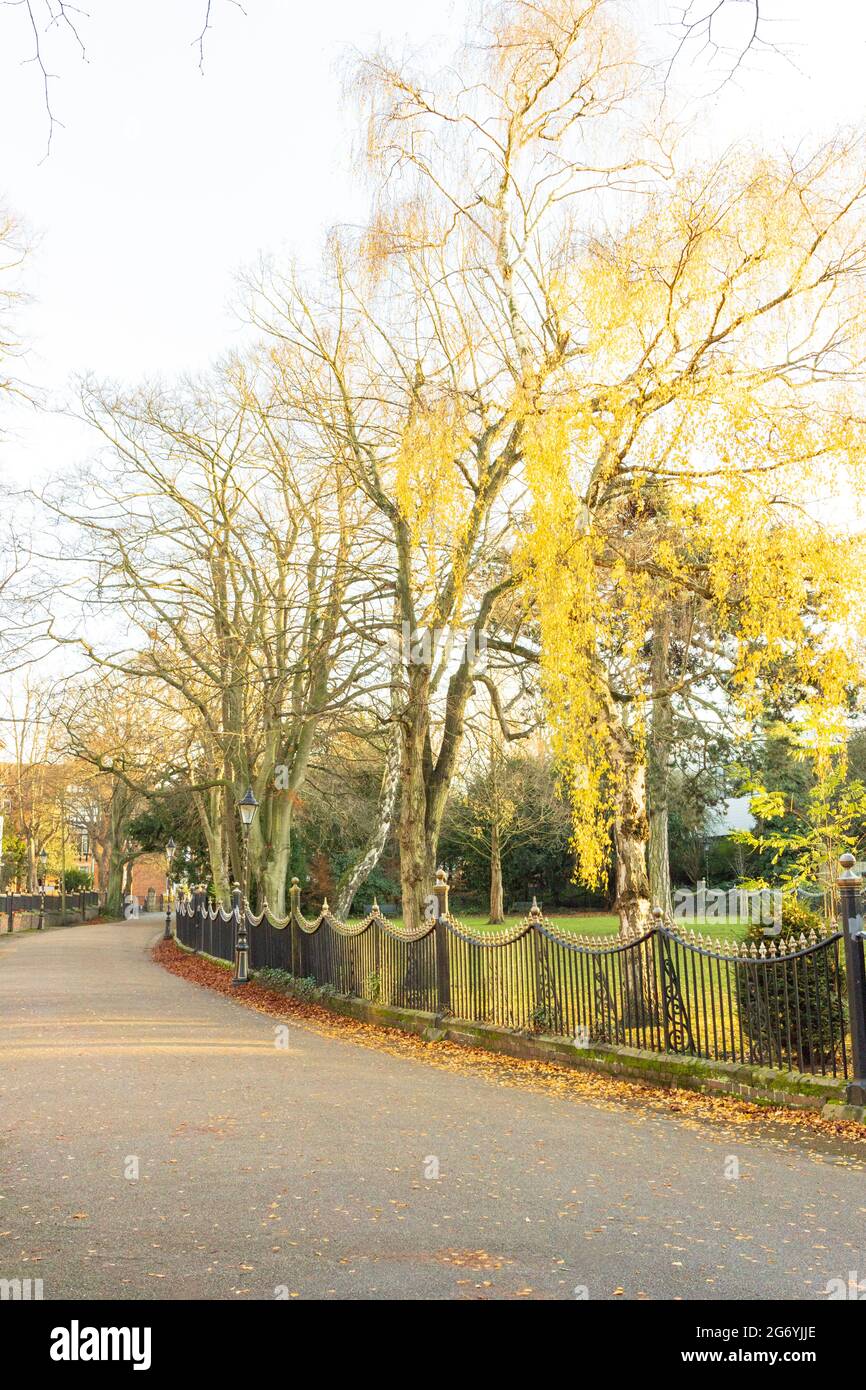 New Walk near University Road and The Oval, walkway curving from left ...