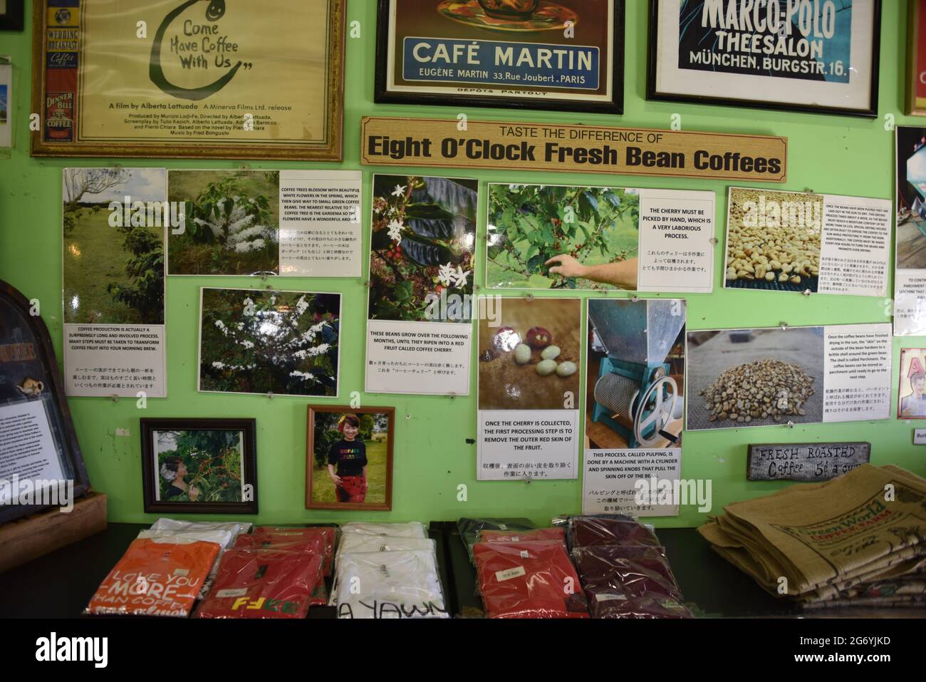 Oahu, HI. U.S.A. 6/2/2021. Green World Coffee Farm. Green Farm is a ...