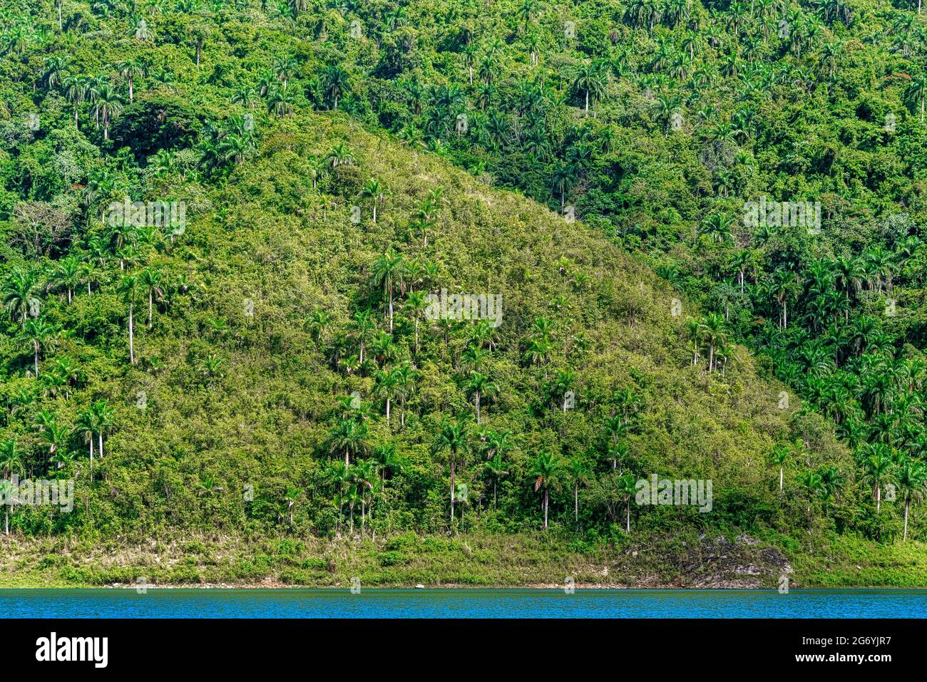 Hanabanilla lake cuba hi-res stock photography and images - Alamy