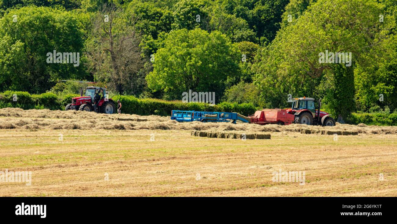 Small scale haymaking in bright English sunshine, working with nature ...