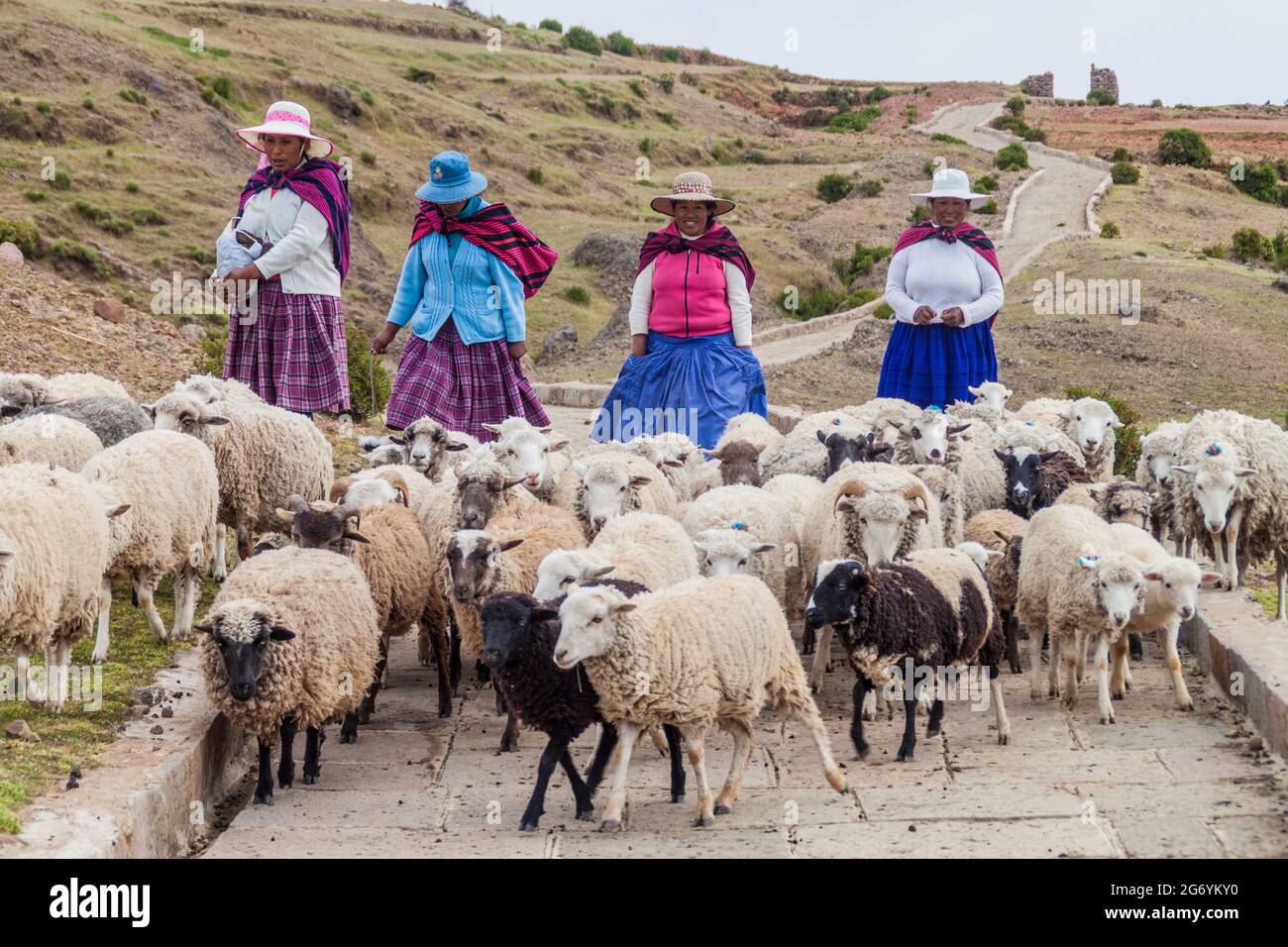 AMANTANI, PERU - MAY 15, 2015: Native women with their sheep on ...