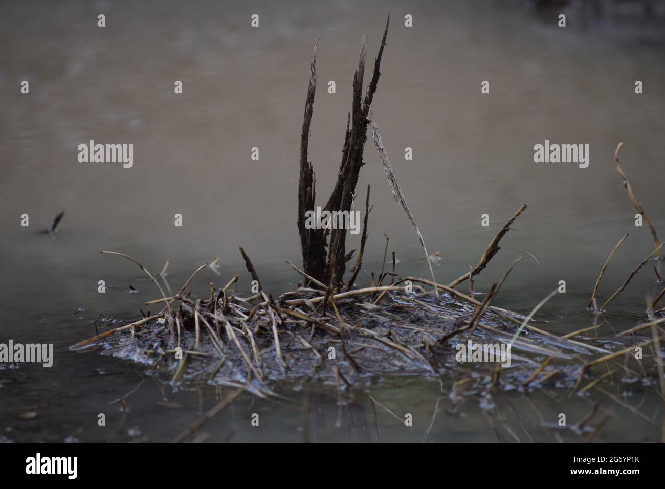 Destroyed grassland hi-res stock photography and images - Alamy