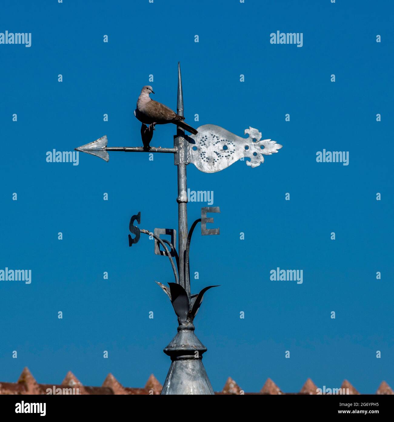 Weather vane and france hi-res stock photography and images - Alamy