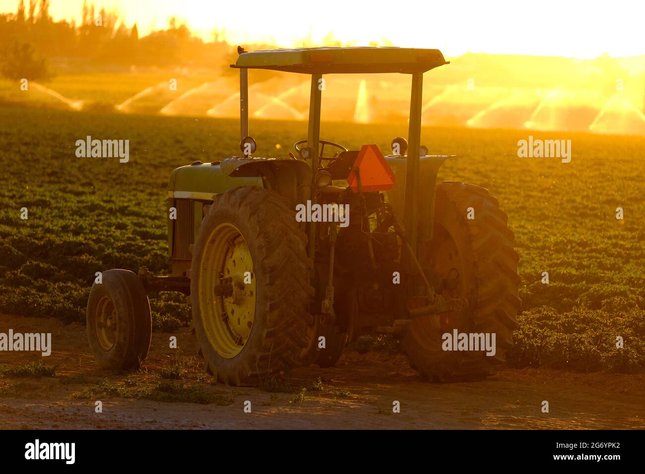 Old farm tractor in field with growing crops and late sunlight Stock ...