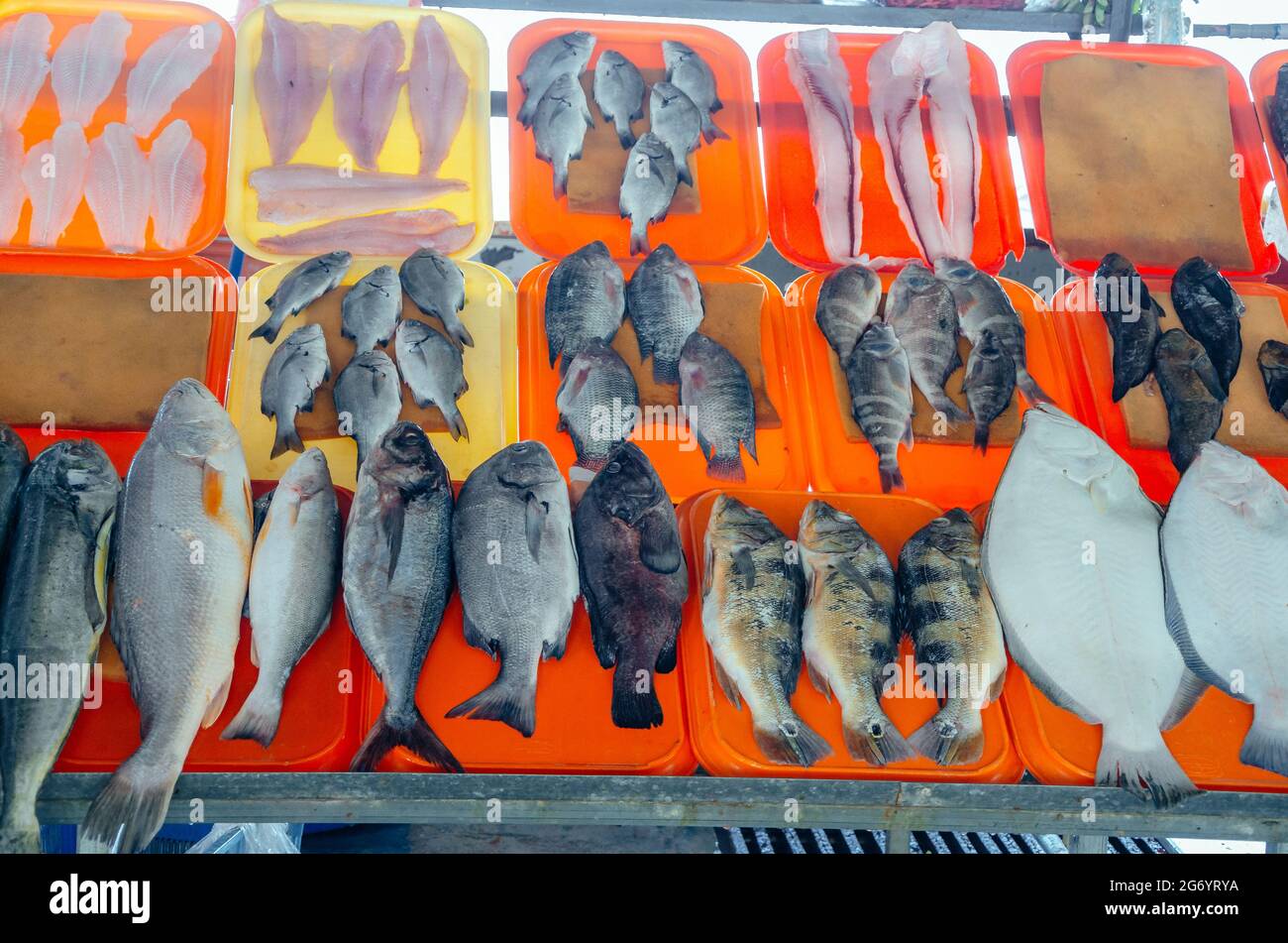 Colorful fresh tropical fish in the market of Lima, Peru Stock Photo ...
