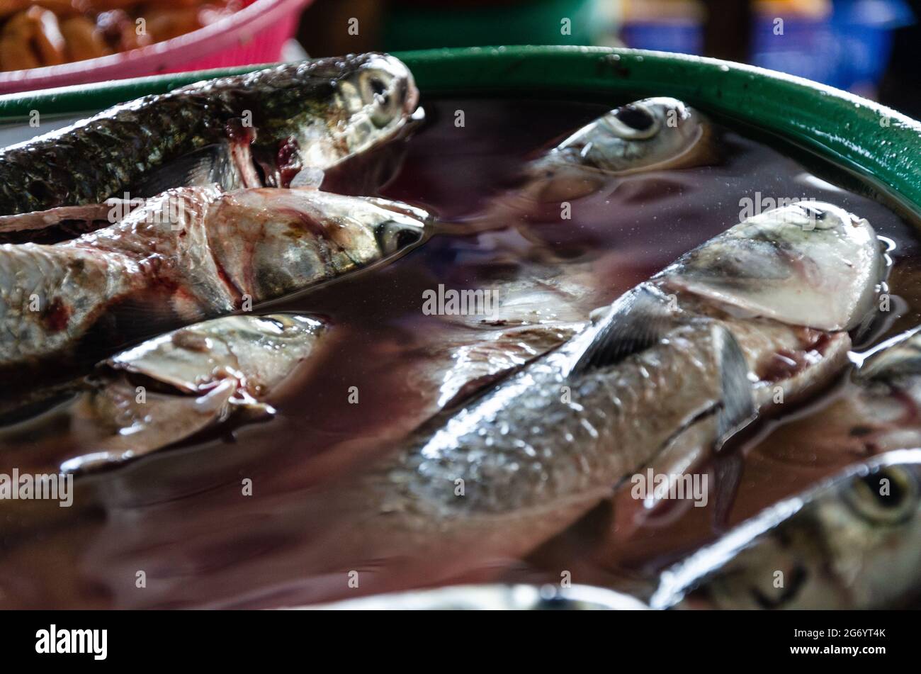 Fresh fish selling in the market in Chorrillos market in Lima, Peru ...