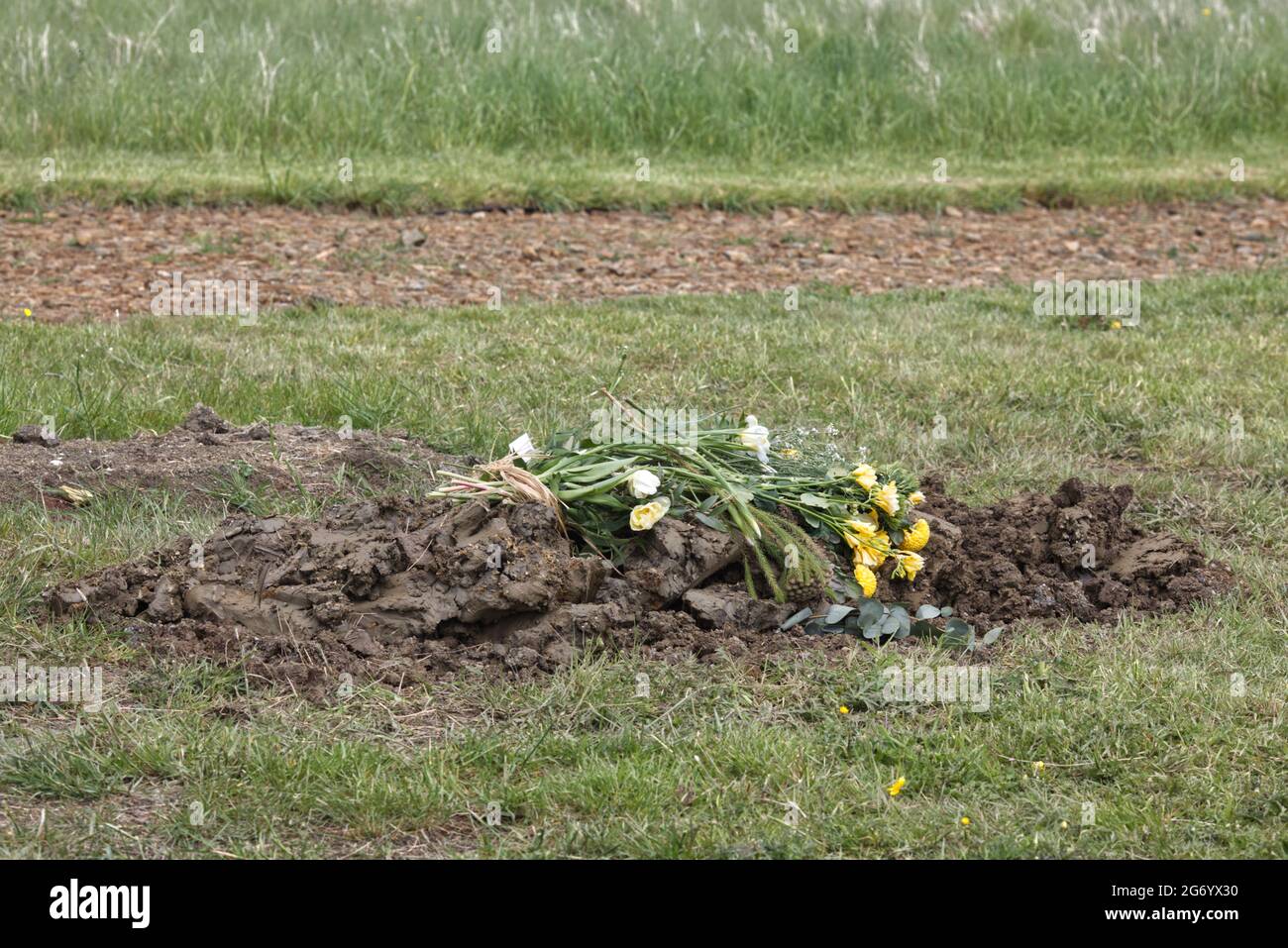 Natural burial ground hi-res stock photography and images - Alamy