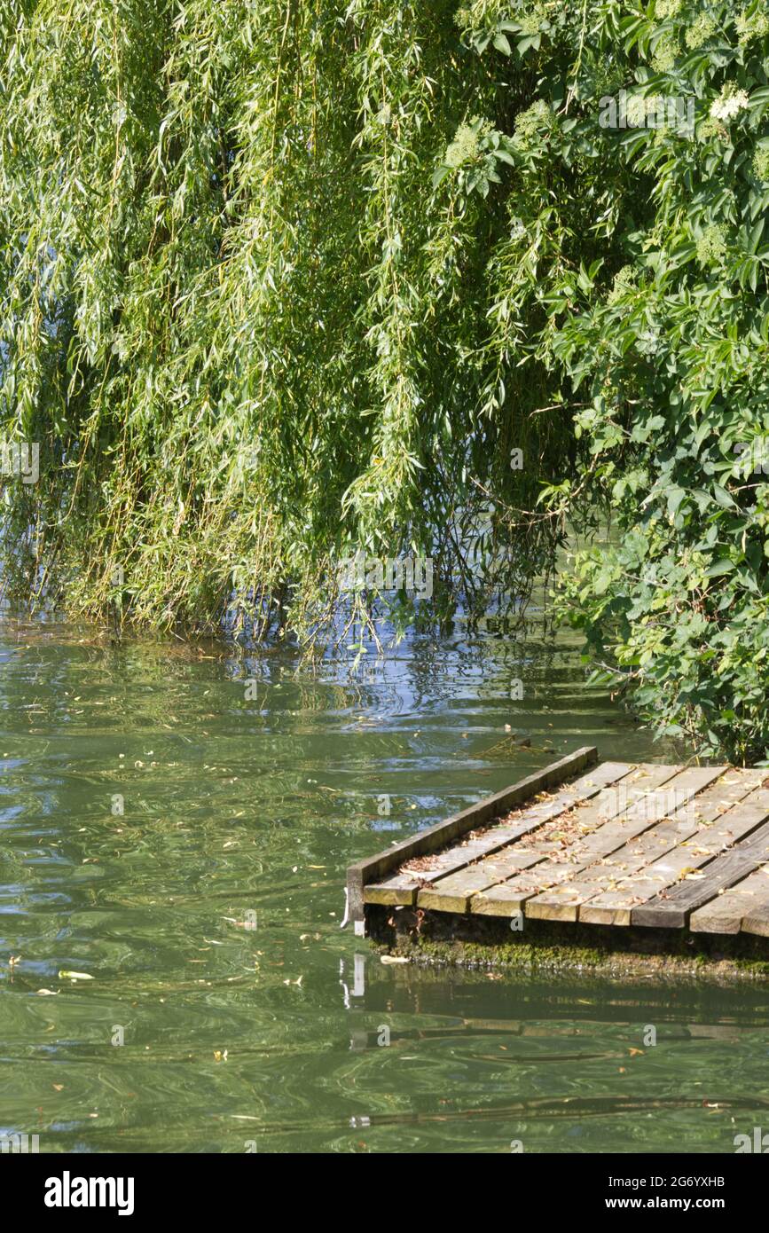 wooden fishing platform on a lake Stock Photo - Alamy