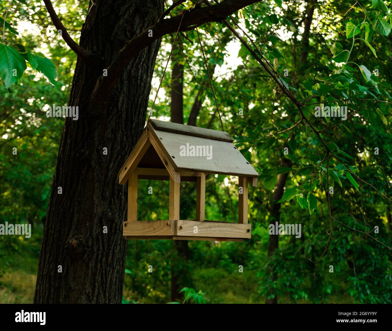 Homemade Bird Feed Tree High Resolution Stock Photography and Images ...