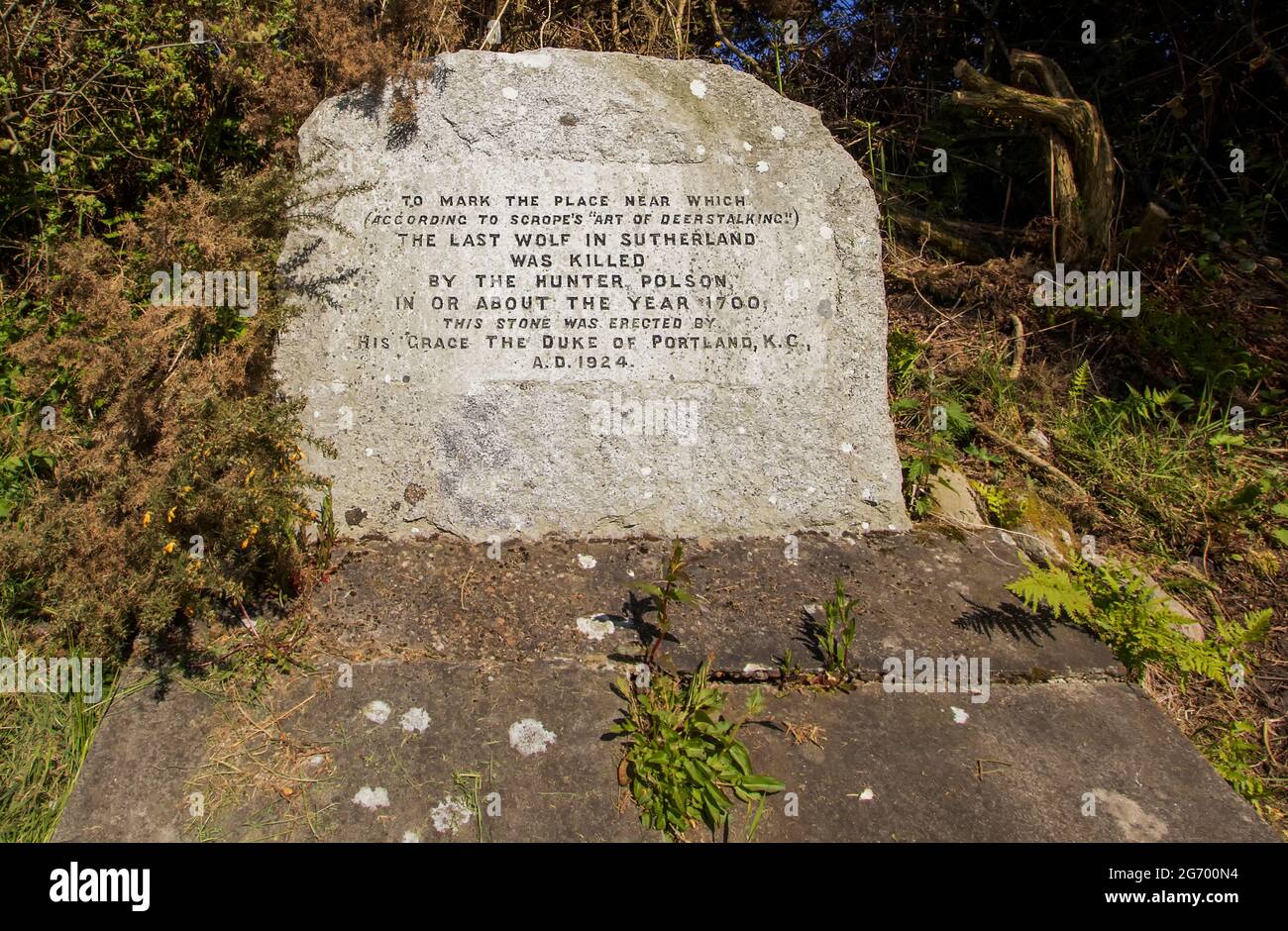 The Wolf Stone near Lothbeg in the Scottish Highlands marking the spot ...