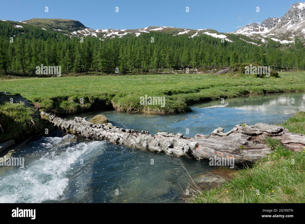 Obstacle in river: a tree trunk has stuck crosswise in a mountain ...
