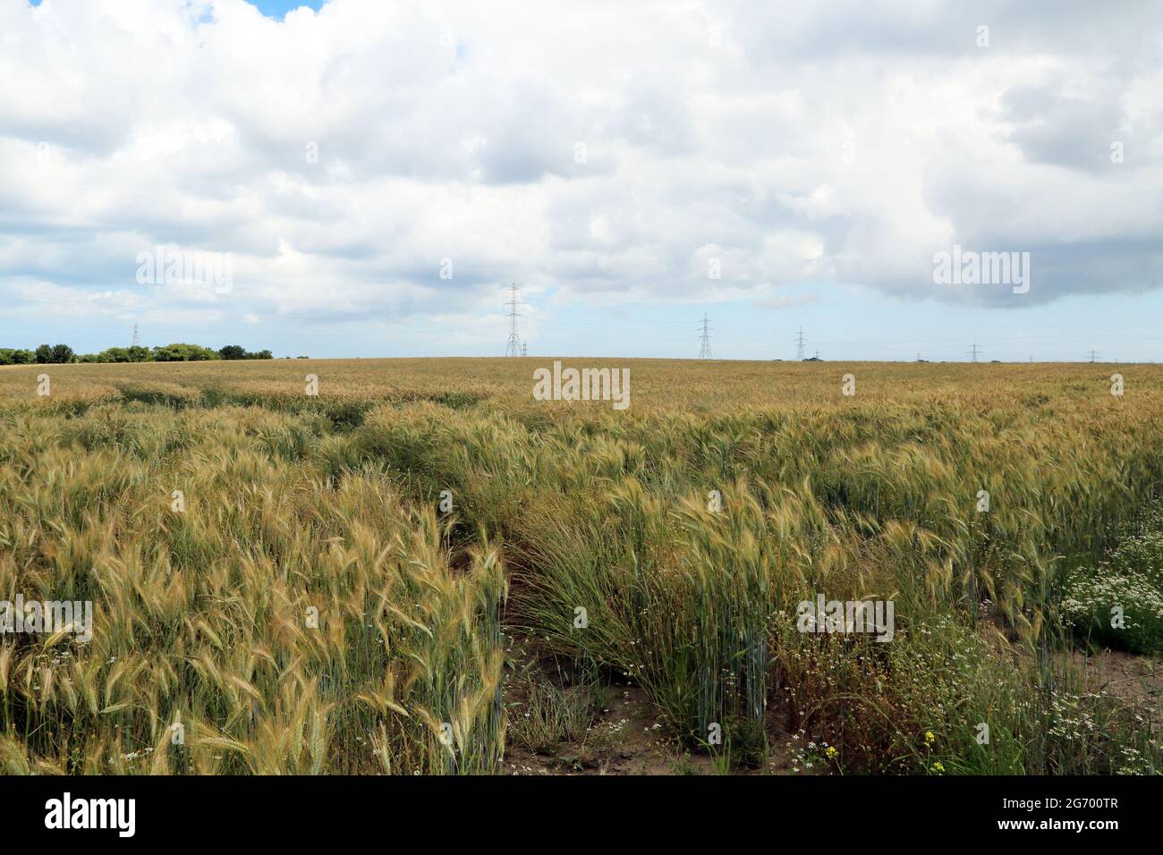 Plucks gutter hi-res stock photography and images - Alamy