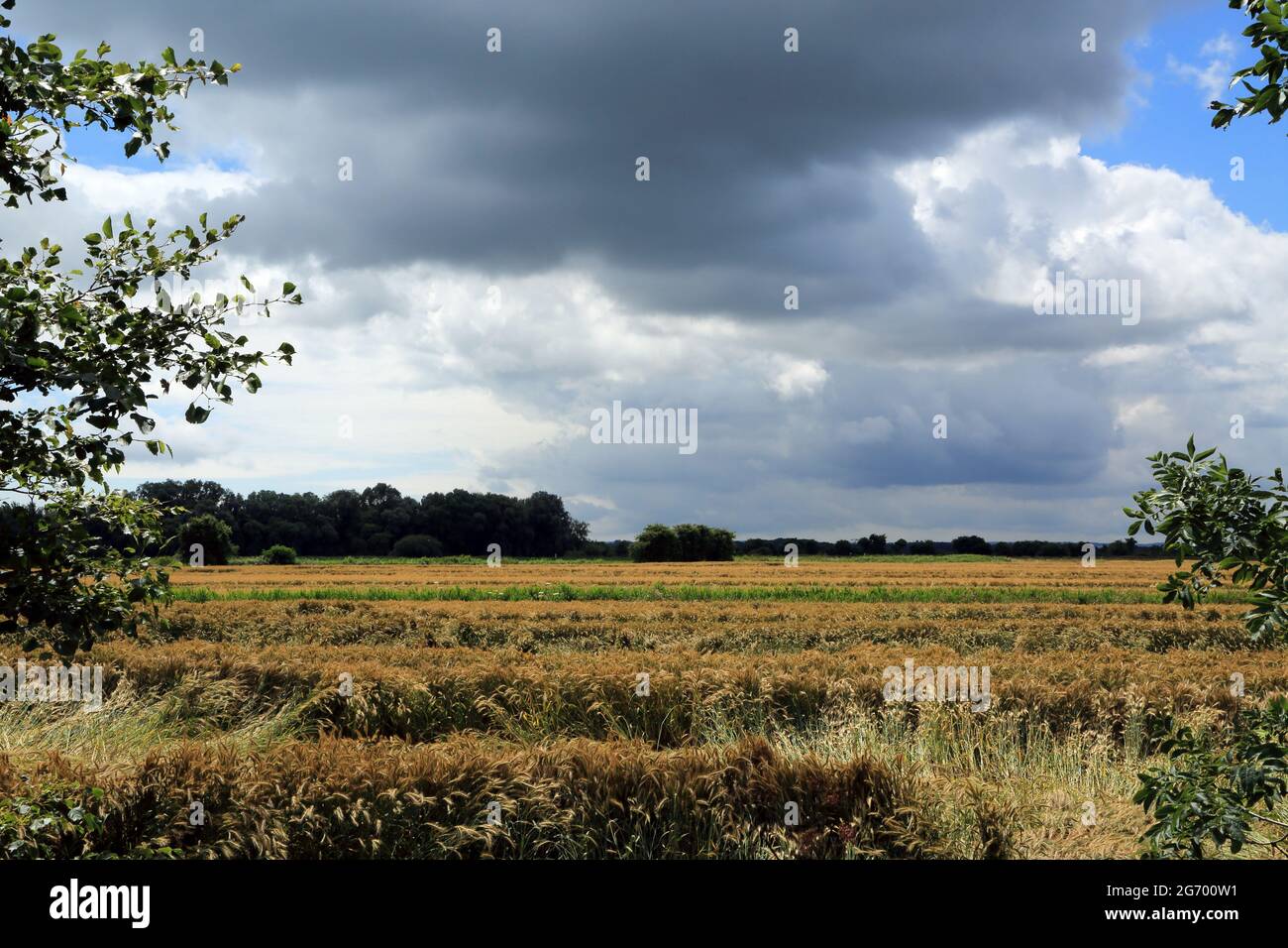 Plucks gutter hi-res stock photography and images - Alamy
