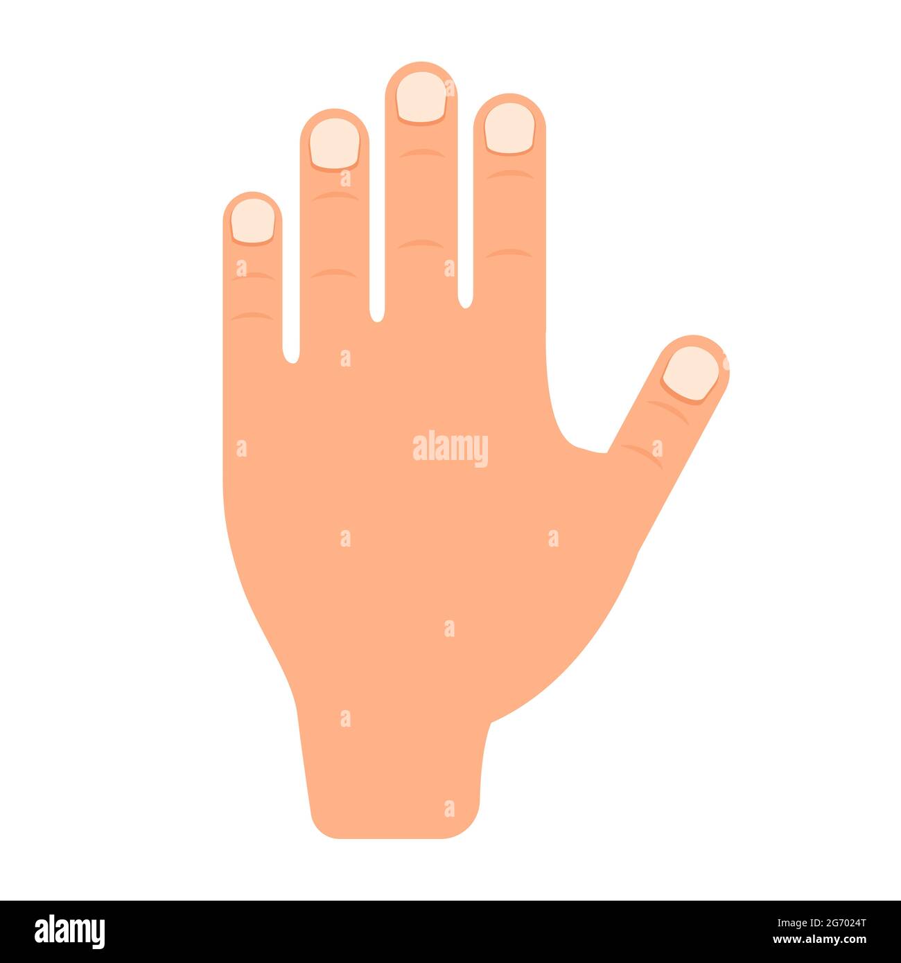 Human hand vector person icon illustration isolated white. Thumb human ...