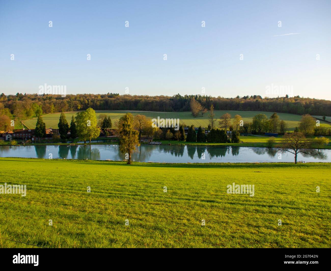 Trees along the river Chess at Latimer; a featured Lime tree with ...
