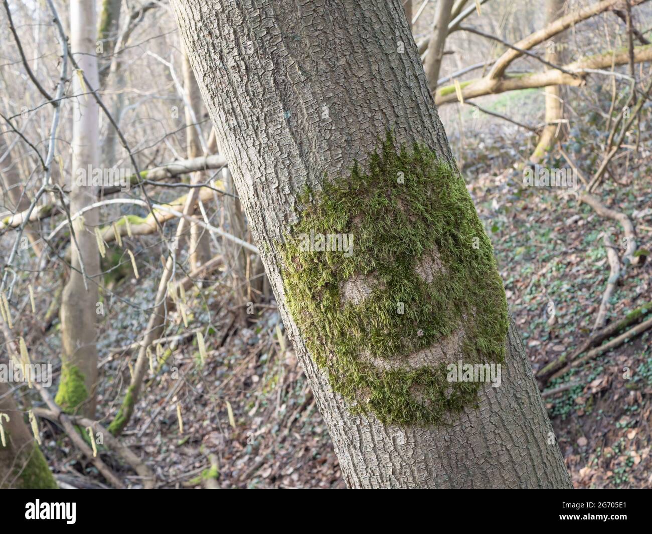 Emoji on tree hi-res stock photography and images - Alamy