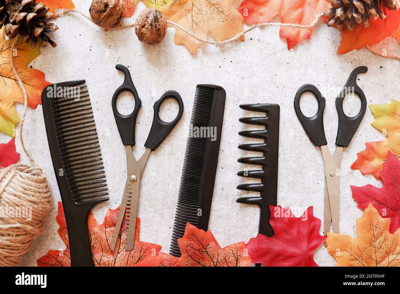 Hairdressing brush set hair of various types with autumn leaves and ...
