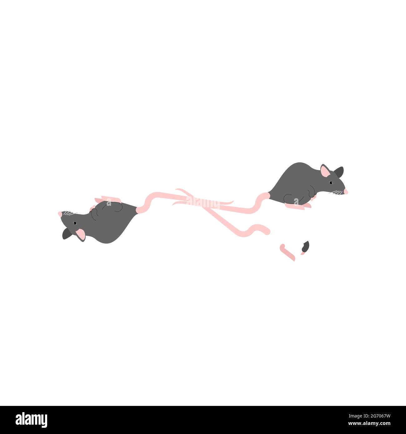 Brown rat portrait Stock Vector Images - Alamy