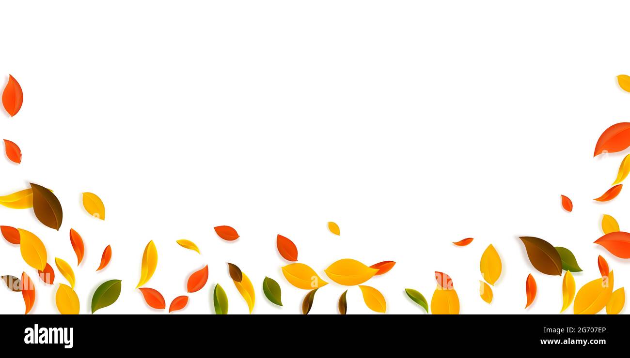 Falling autumn leaves. Red, yellow, green, brown chaotic leaves flying ...