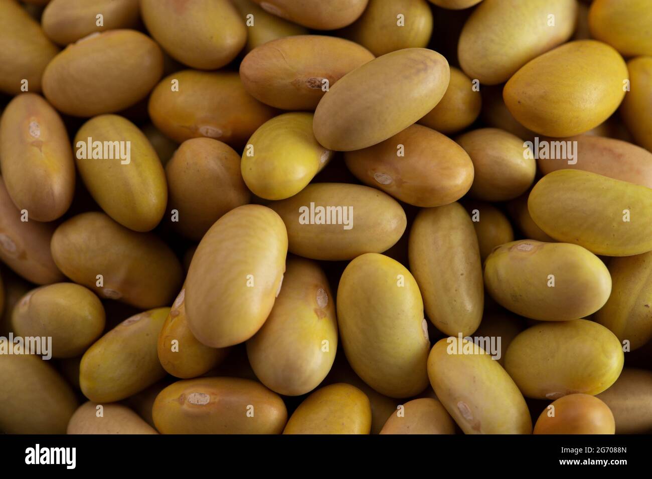 Maicoba hi-res stock photography and images - Alamy
