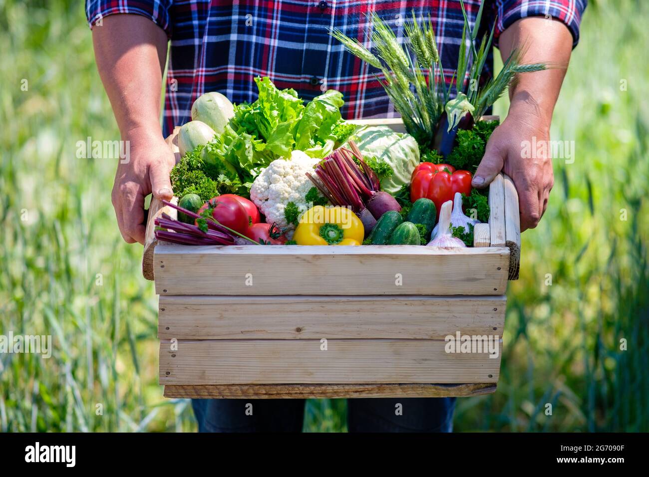 Wooden box with fresh farm vegetables close up in men's hands. Close-up ...
