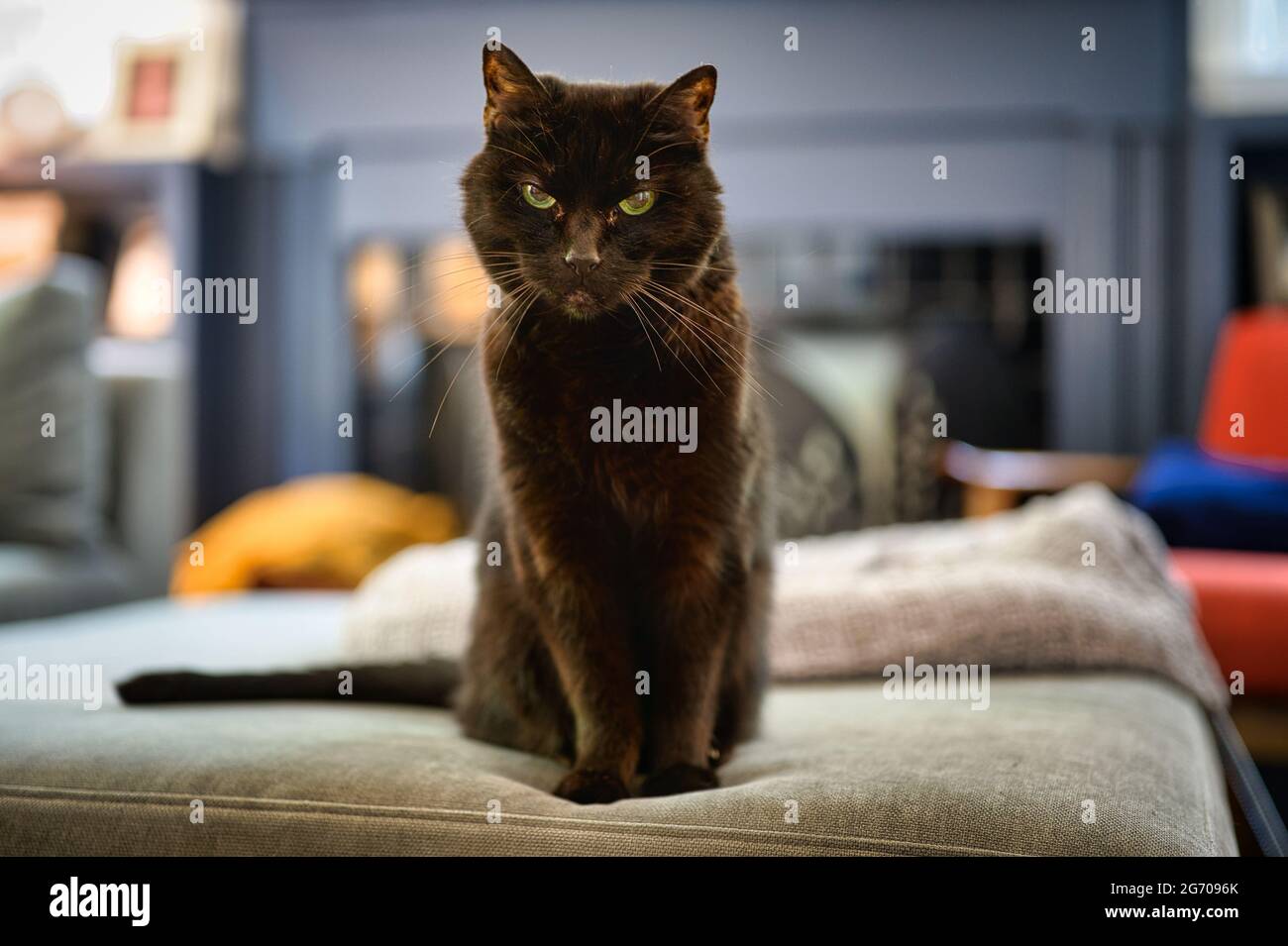 Disgruntled hi-res stock photography and images - Alamy